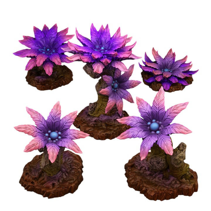 Fantastic Plants & Rocks - Pandora's Flower 3667000384362 | eBay
